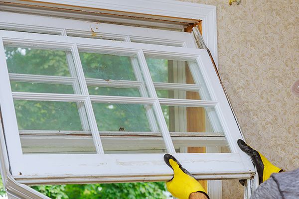 American Window Restoration And Repair In Los Angeles - Contractor360