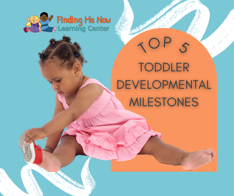 Top 5 Developmental Milestones for Toddlers and How Finding Me Now ...