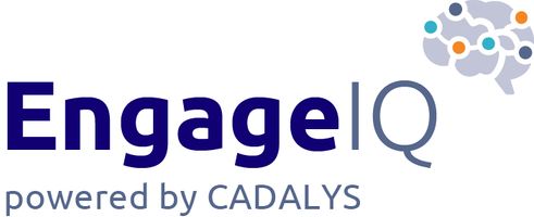 Amplifying the Value of Salesforce® for Today’s Most Pressing Business ...