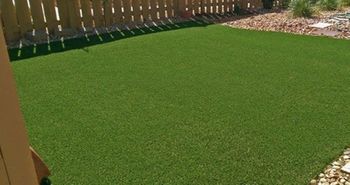 Gallery - Plush Grass LLC