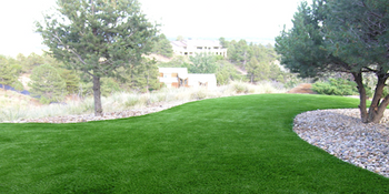 Gallery - Plush Grass LLC