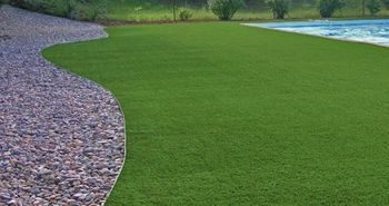 Gallery - Plush Grass LLC