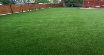 Gallery - Plush Grass LLC