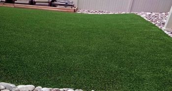 Gallery - Plush Grass LLC