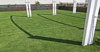 Gallery - Plush Grass LLC