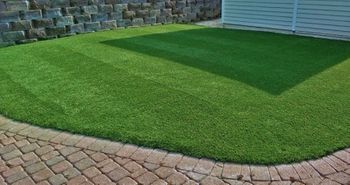 Gallery - Plush Grass LLC