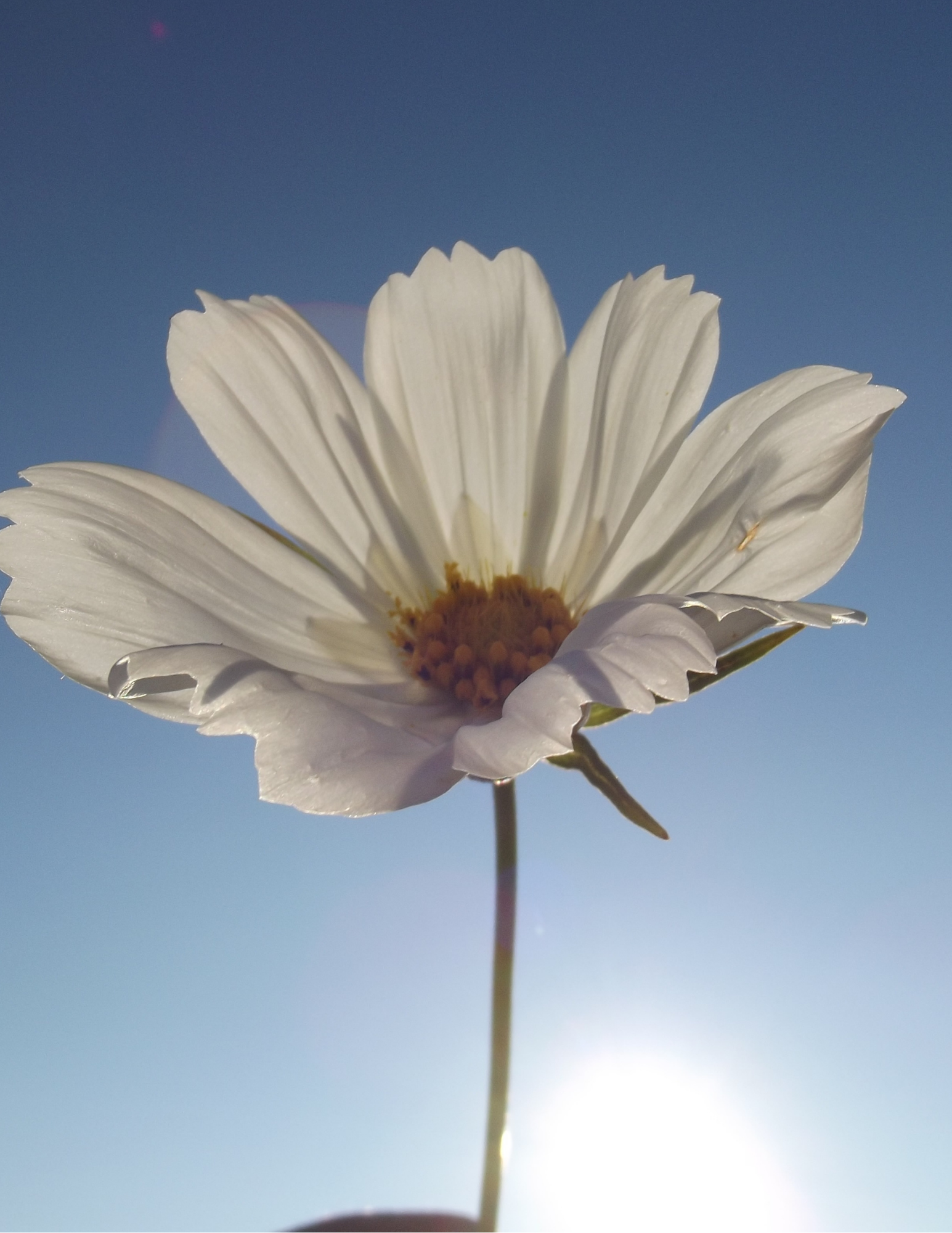 Busy But Burnt Out? When Constant Doing Is a Trauma Response - A New ...