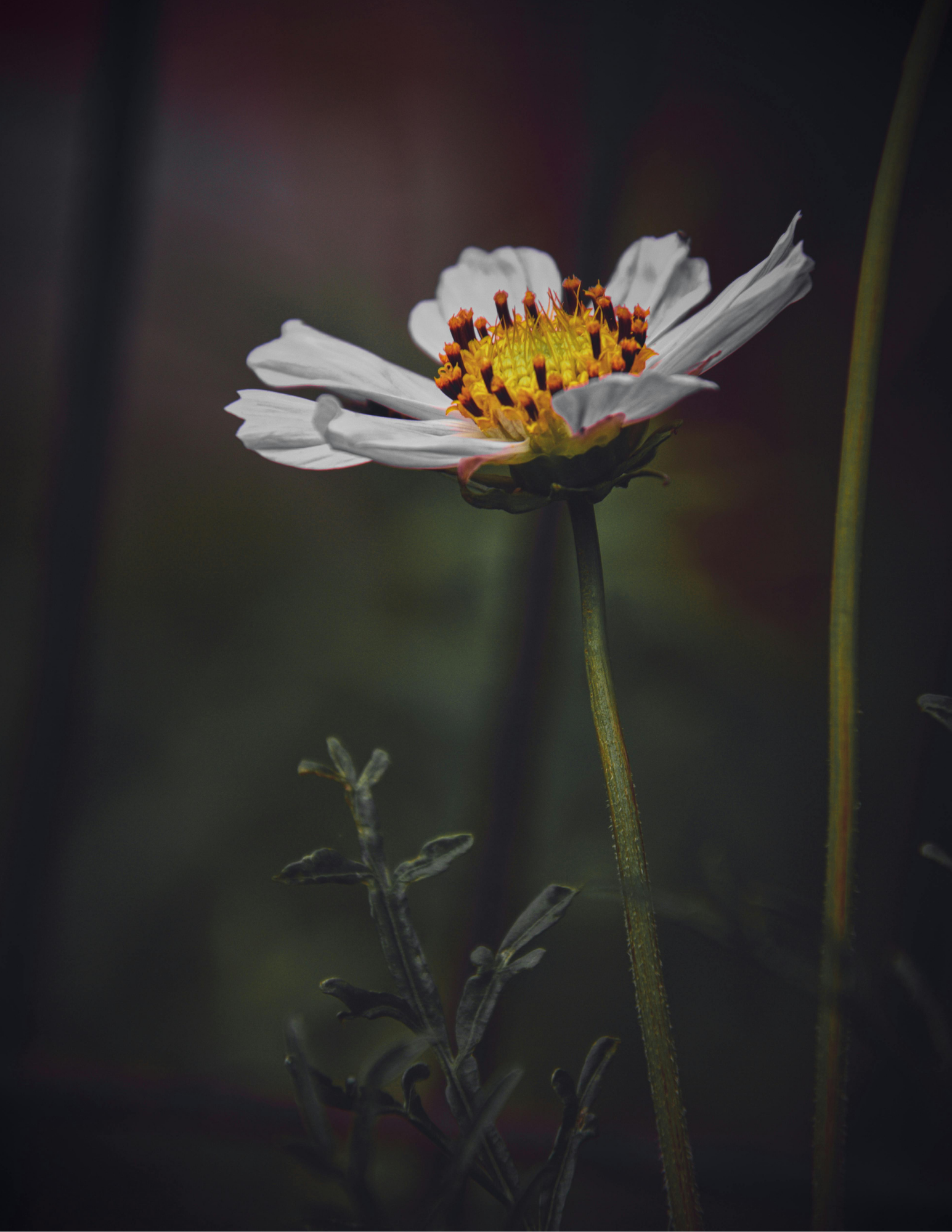 Feeling Anxious? Here’s What to Tell Yourself — And How Therapy Can ...