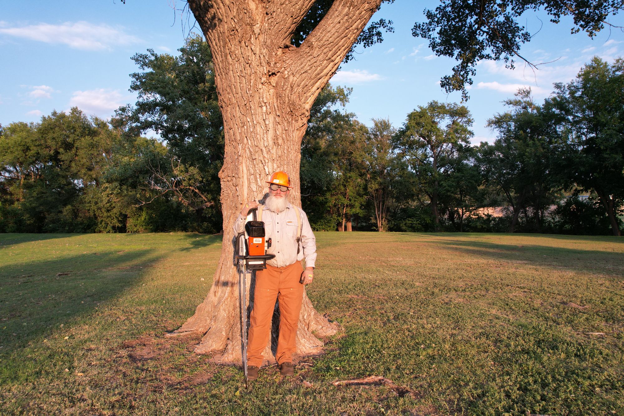 High Plains Tree Works, Tree Removal Amarillo Texas, Tree Trimming ...