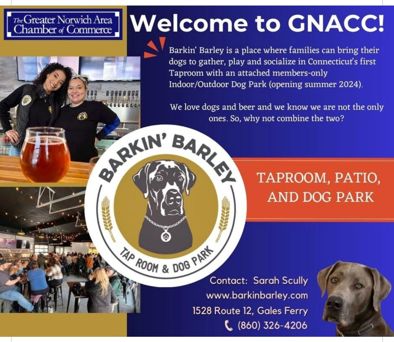 Barkin’ Barley…where dogs are welcome….and people too;) - Barkin' Barley