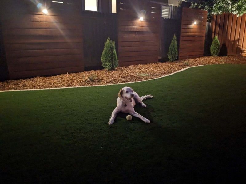 Living Elements Landscape - Sacramento's Premier Landscape Design Expe - Living Elements Landscape