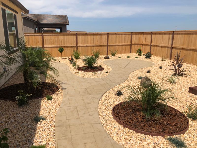 Xeric Garden Designs | Fasci Garden