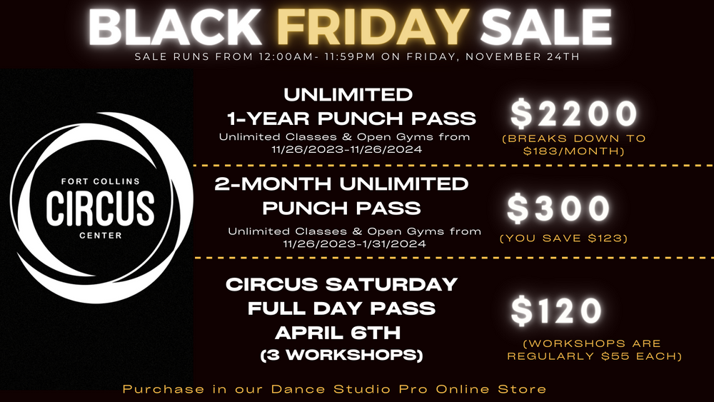 Wellness, physical literacy, and creative expression through circus ...