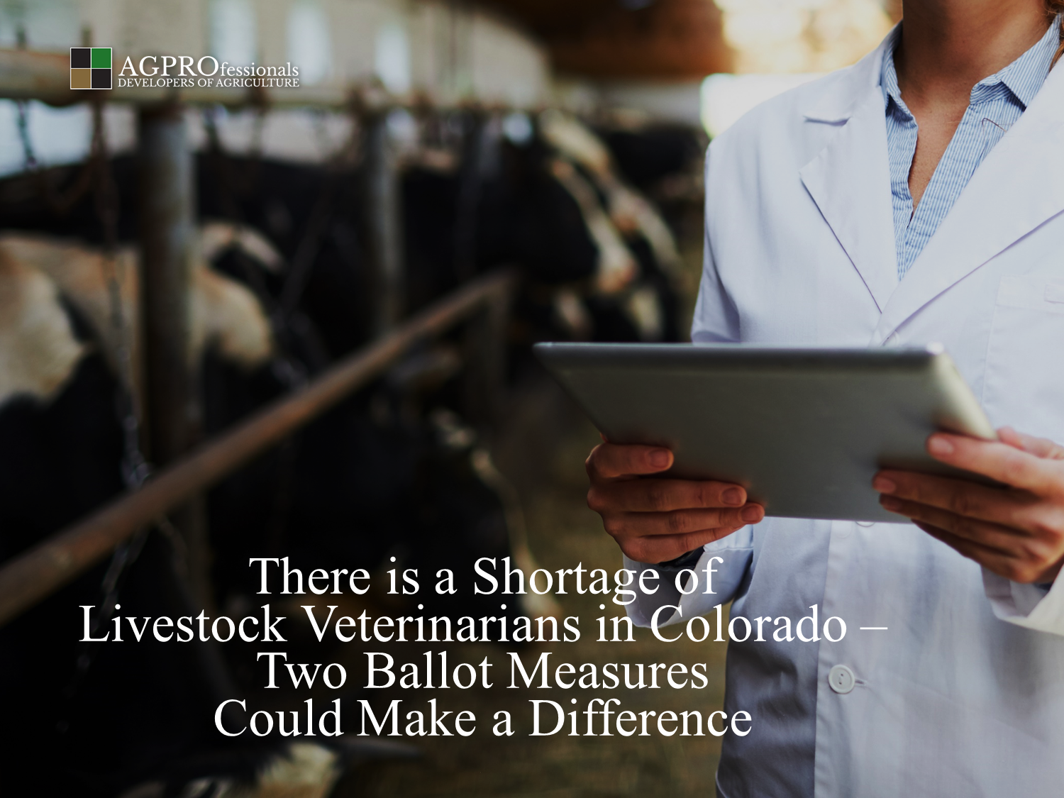 Veterinary Shortage Addressed by Two Colorado Ballot Initiatives - AG ...