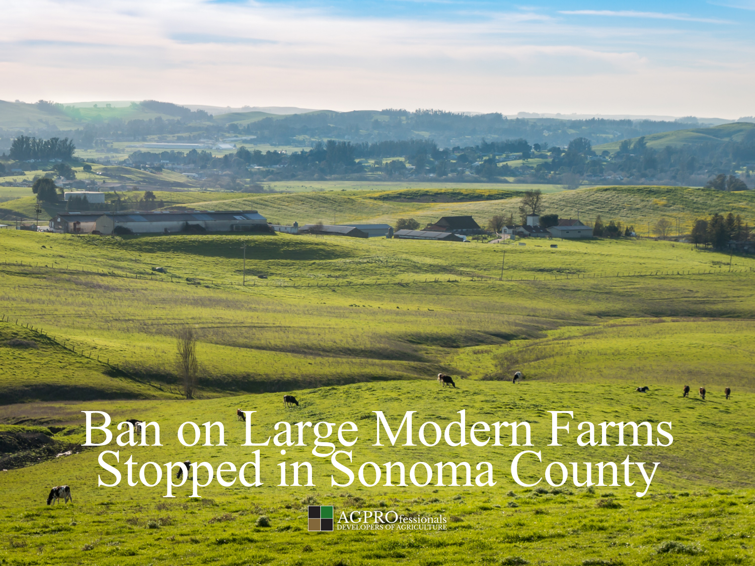 Measure J Stopped - AG Professionals