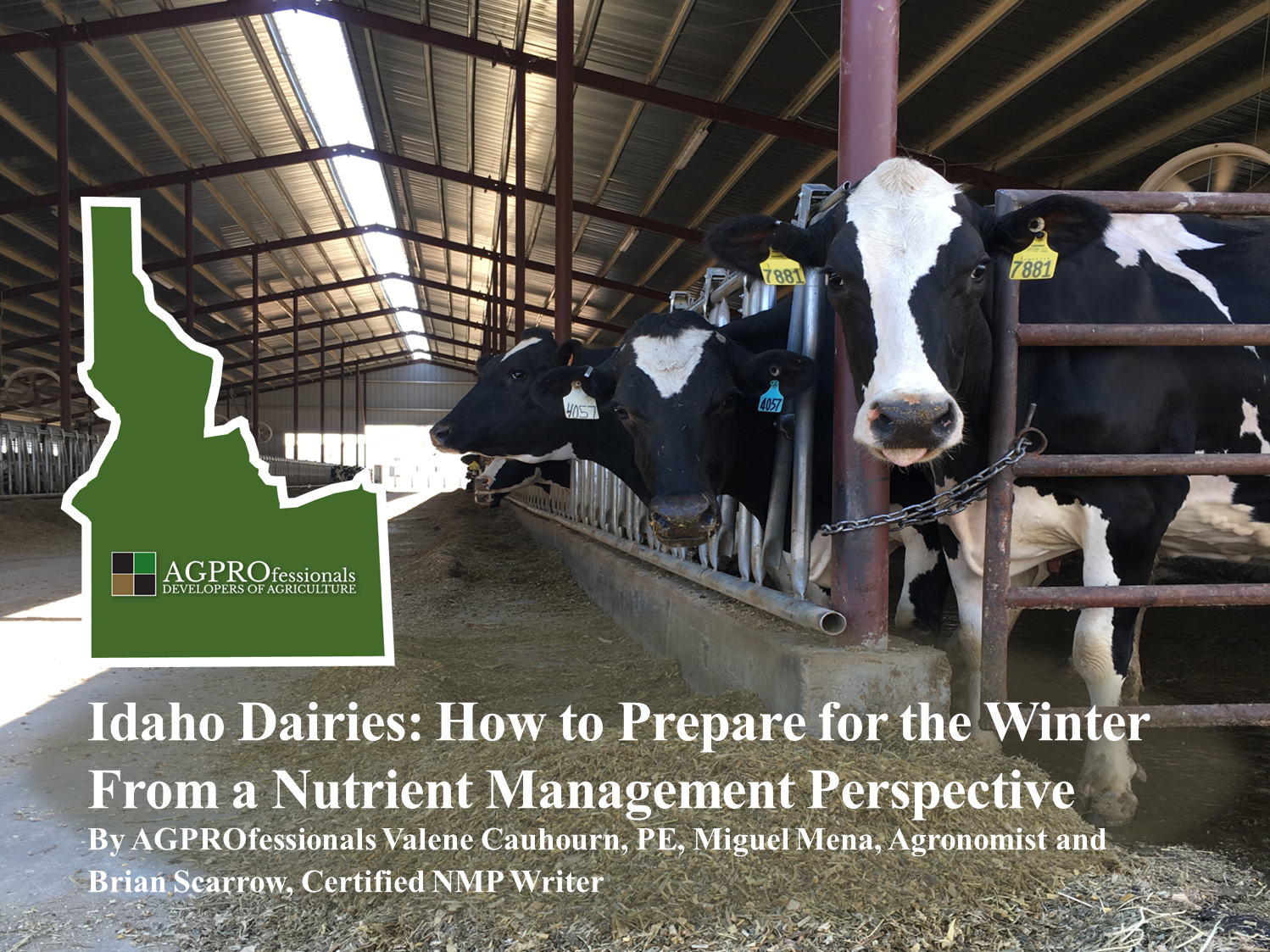 A Winter Nutrient Management Perspective - Idaho Dairies - AG Professionals
