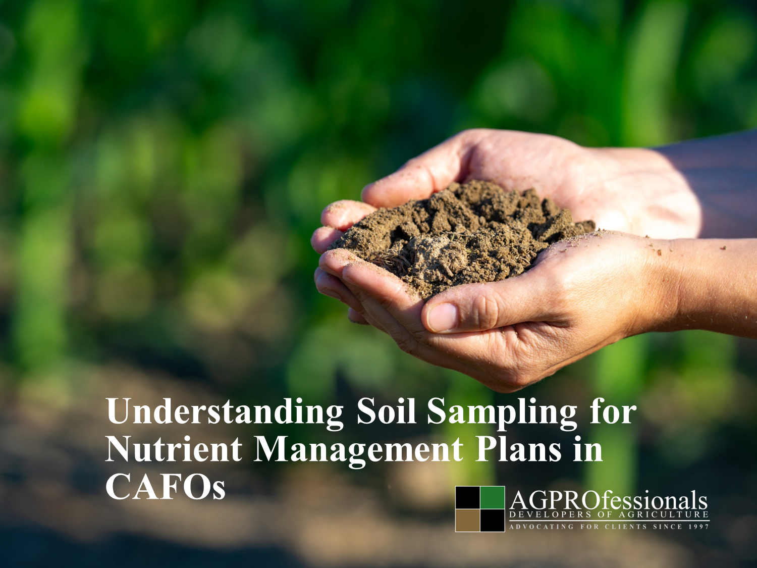 Understanding Soil Sampling for Nutrient Management Plans in CAFOs - AG ...