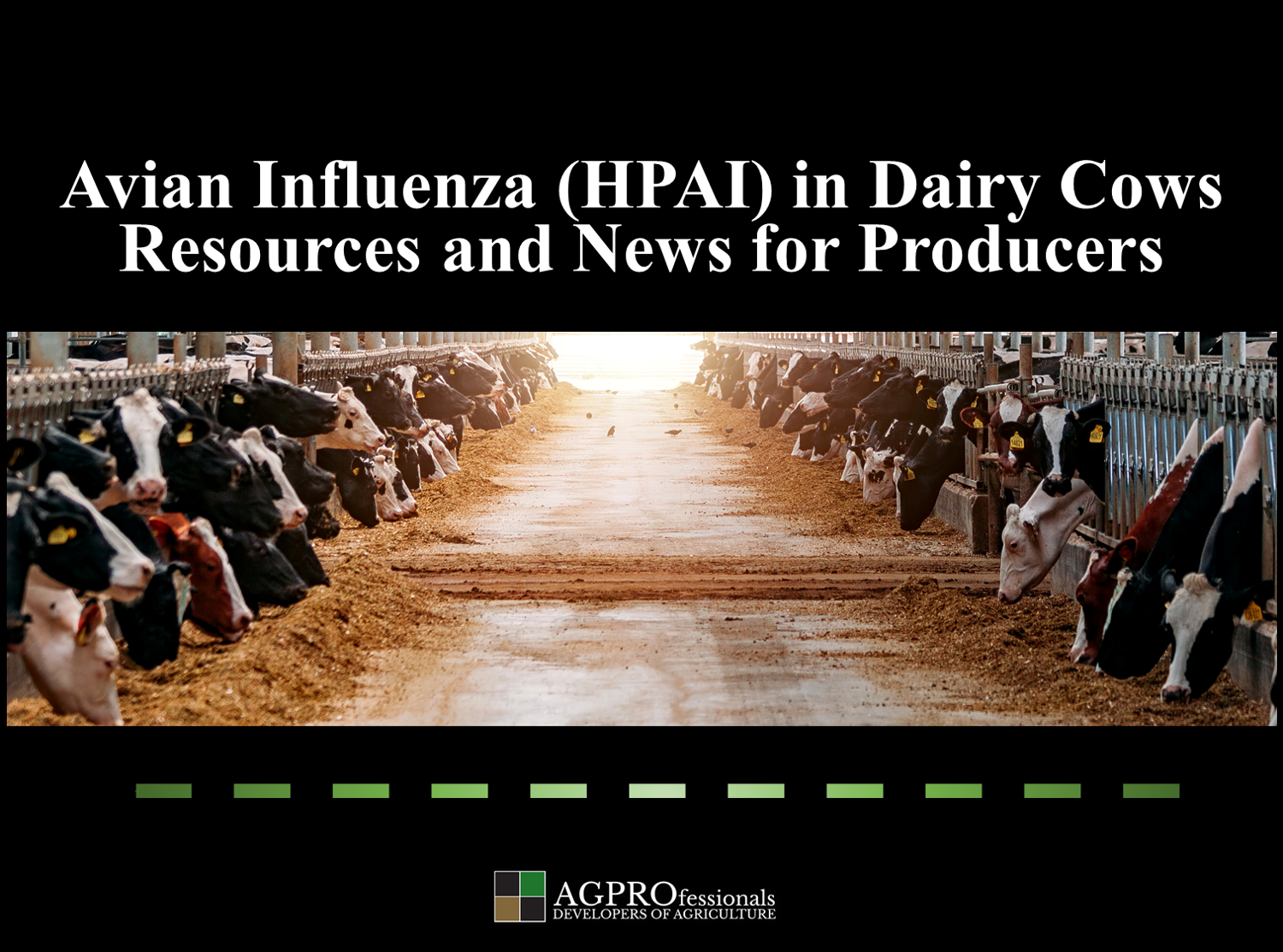 Avian Influenza (HPAI) in Dairy Cows - Resources and News - AG ...