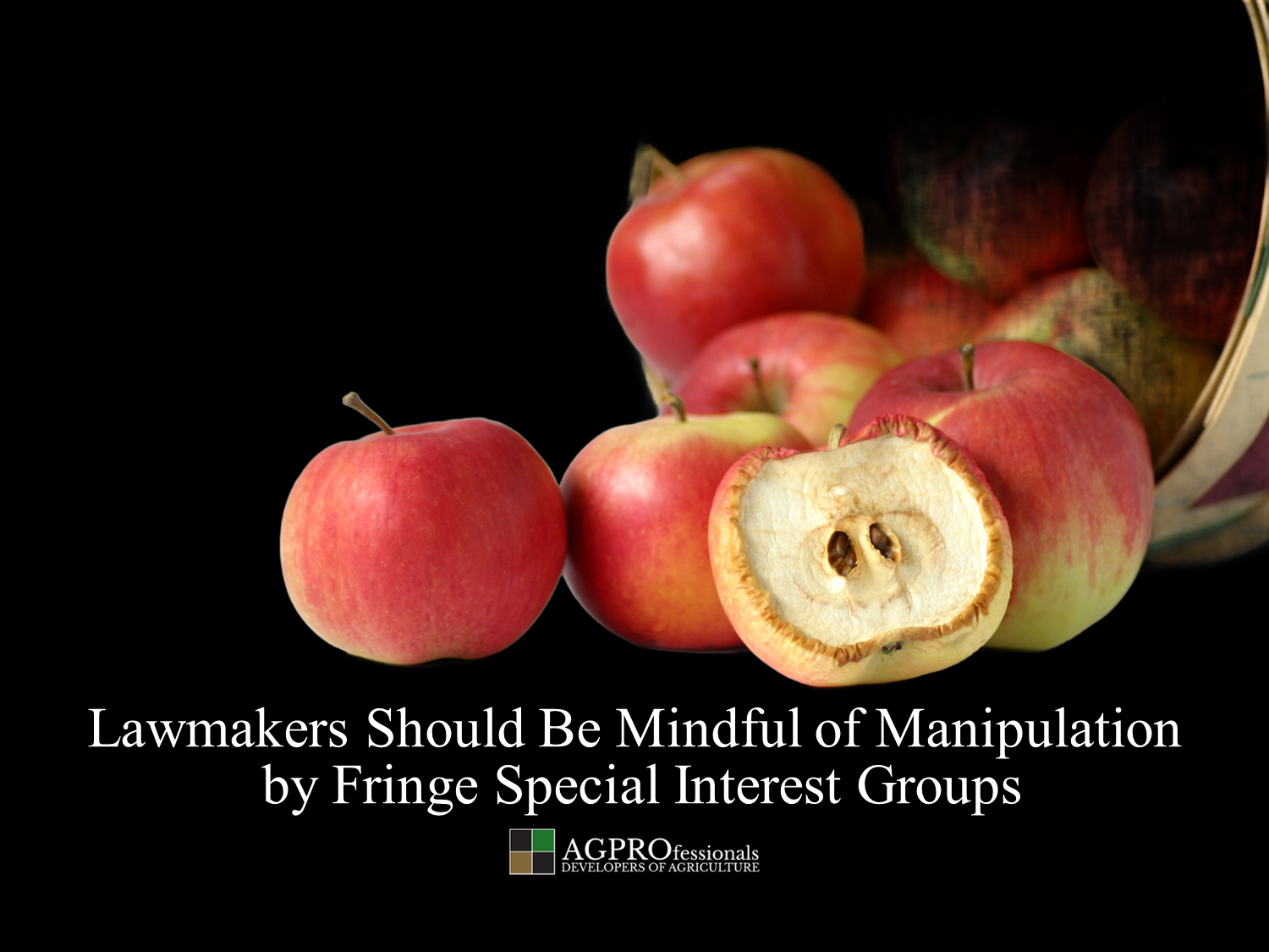 Lawmakers Can Be Manipulated by Fringe Groups - AG Professionals