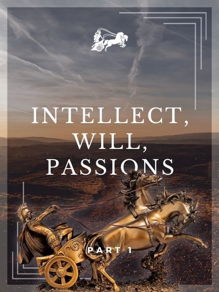 Intellect, Will, Passions — Teaching of Virtue by Horse & Chariot