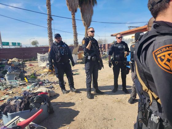 Gallery - Palisade Defense