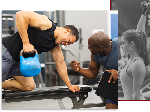 Iron Lab Gym - Visit Us in Elgin, IL - Iron Lab Gym