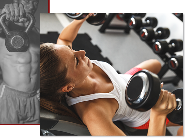 Iron Lab Gym - Visit Us in Elgin, IL - Iron Lab Gym